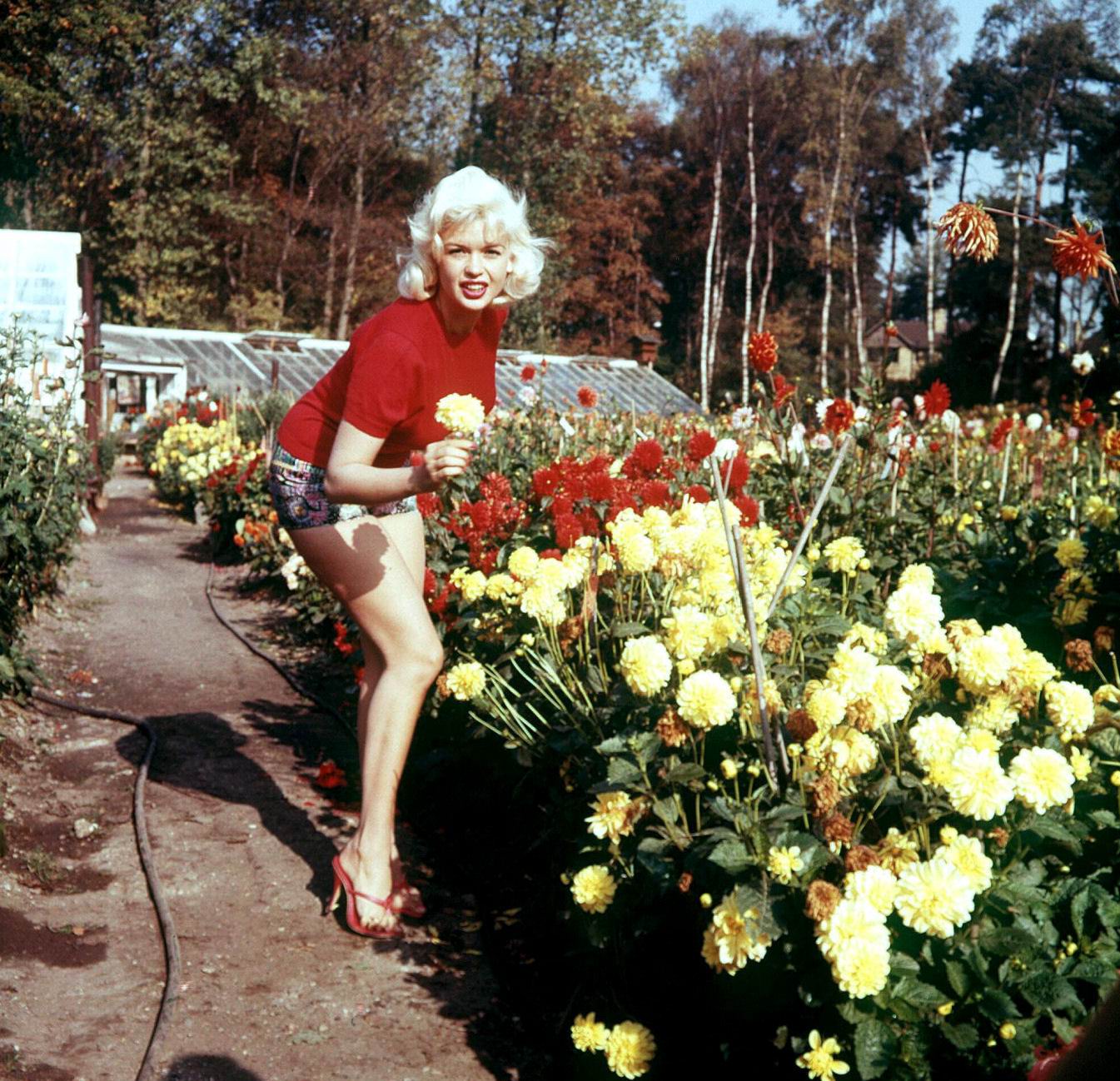 Jayne Mansfields Feet