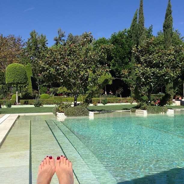 Shiva Safais Feet