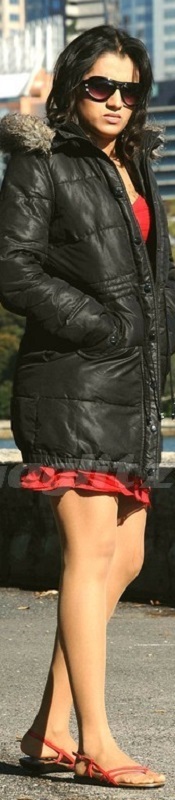 175 X 800 Id 1100061