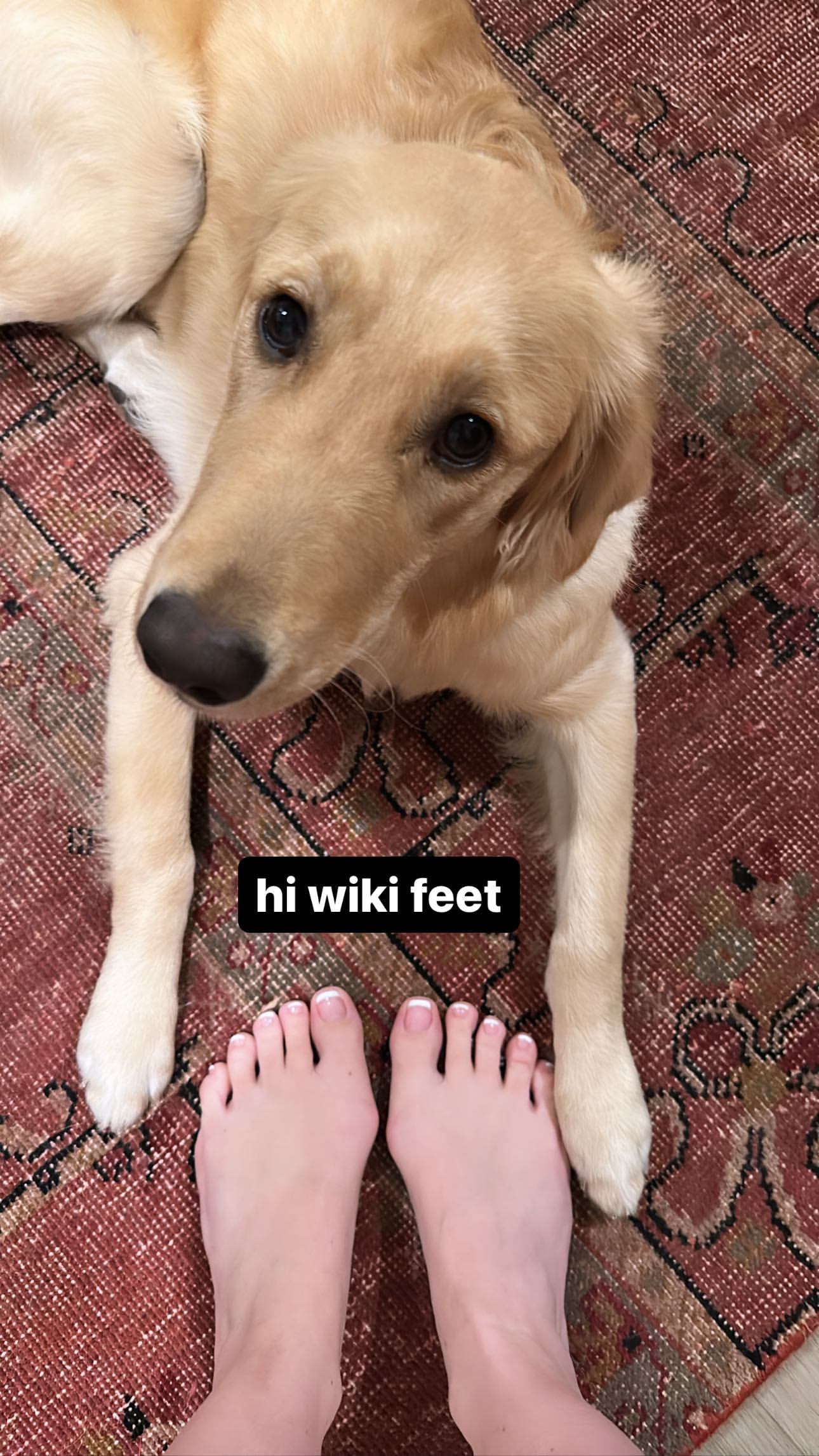 Celebrity mentions - wikiFeet