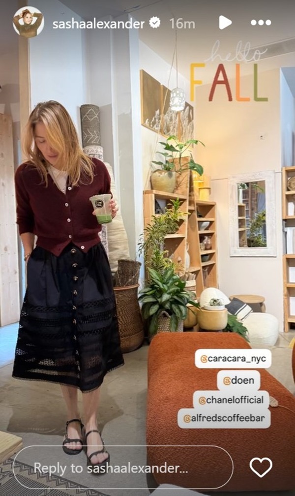 Sasha Alexander feet | FeetDatabase.com