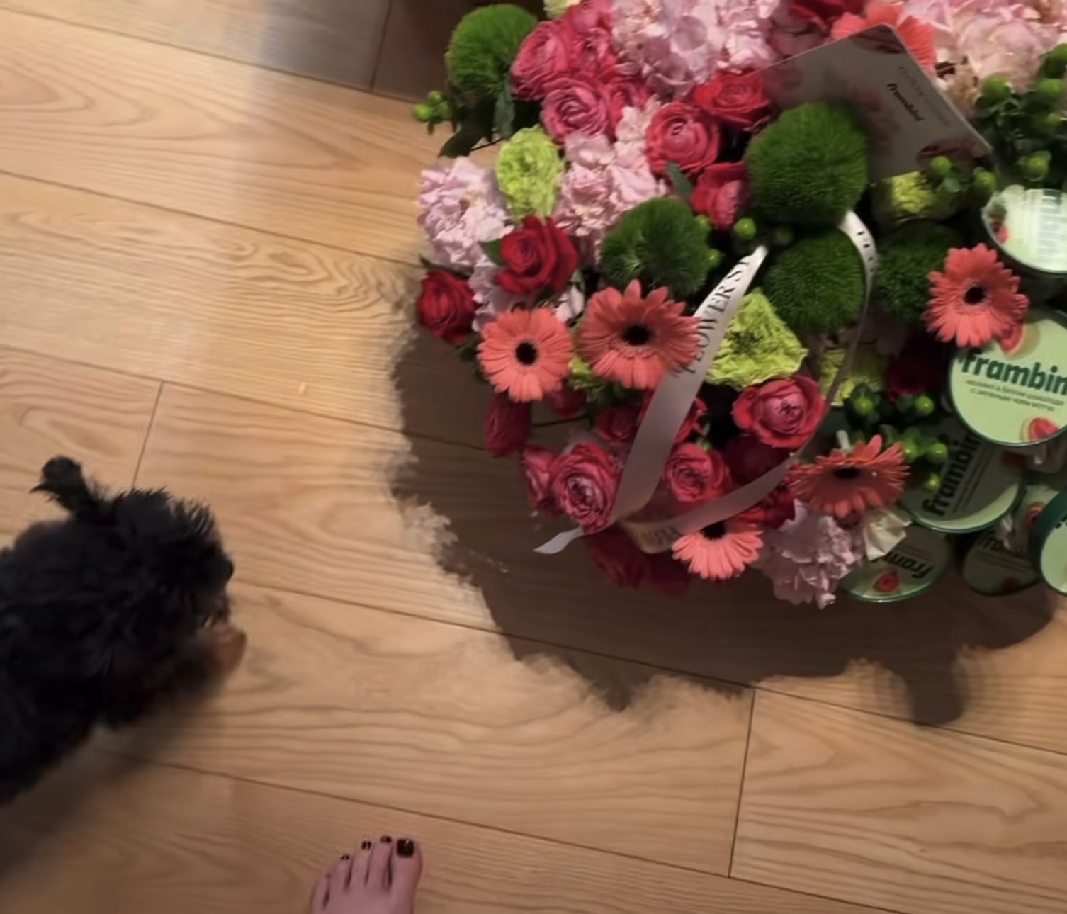 Adel Veigel's feet