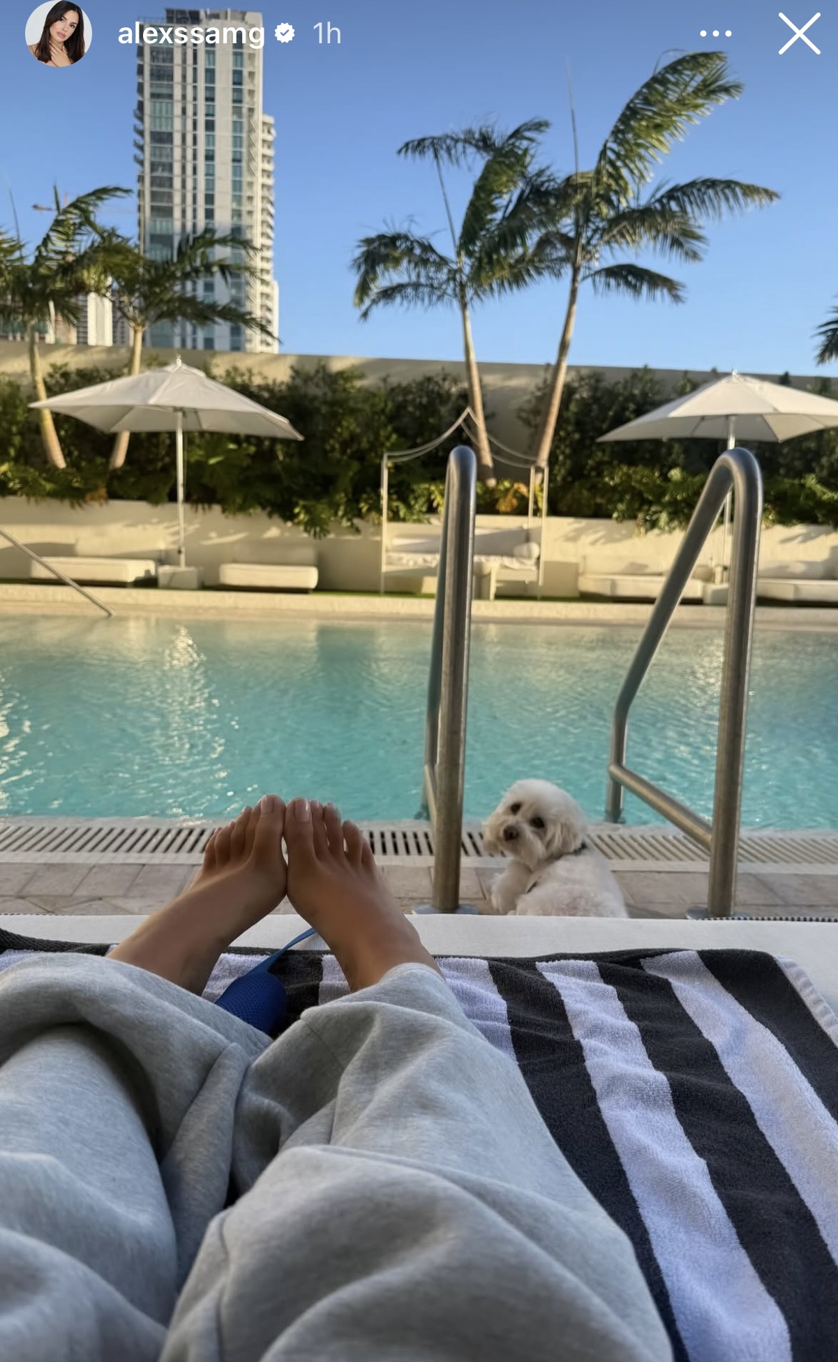 Alexssandra Montalván's feet