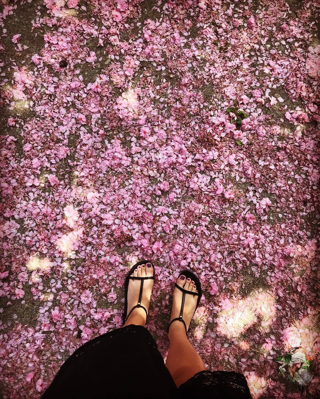 Allison Rapp's feet