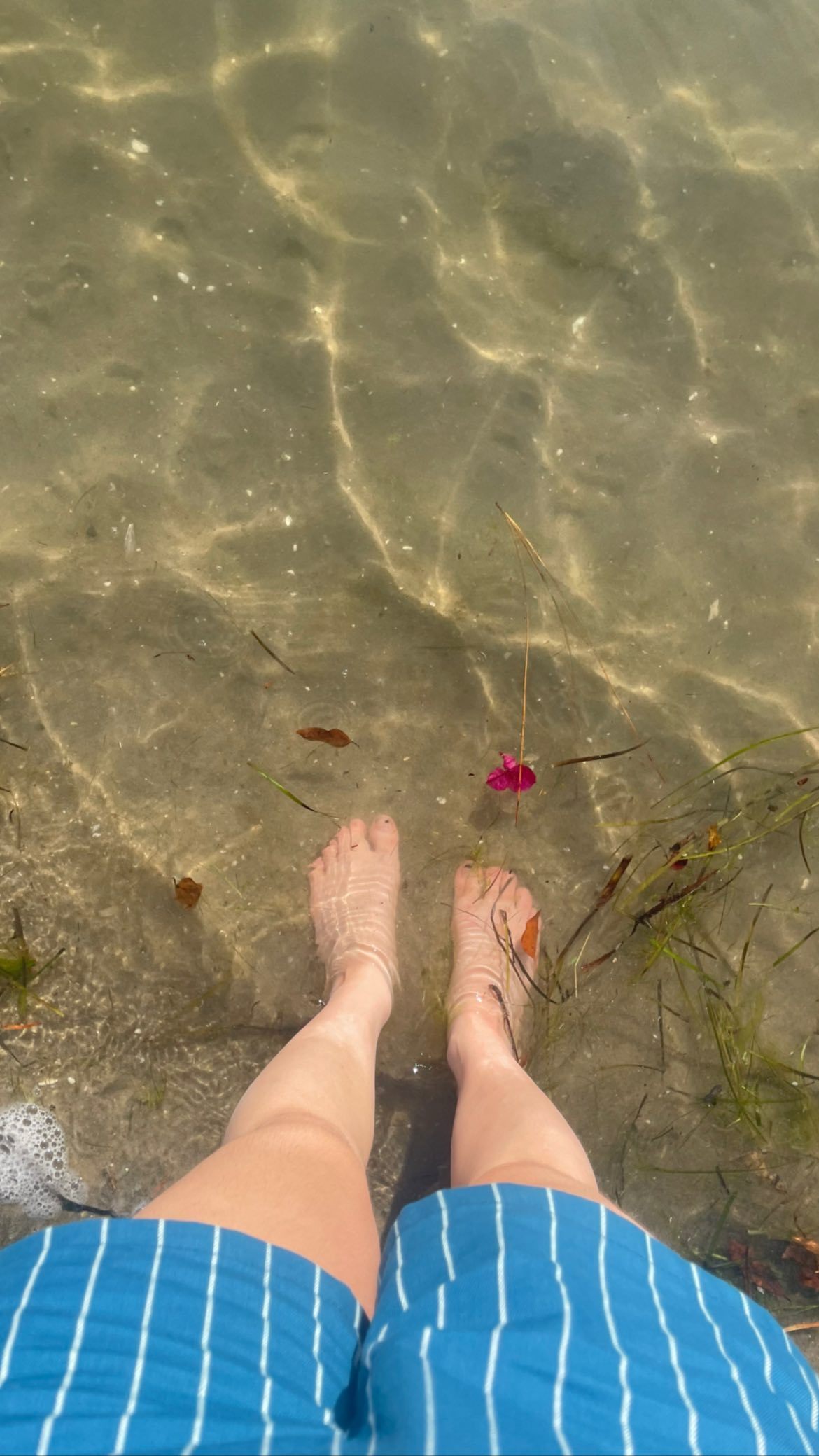 Ally Ioannidess Feet I Piedi Di Ally Ioannides Celebrities Feet 2023