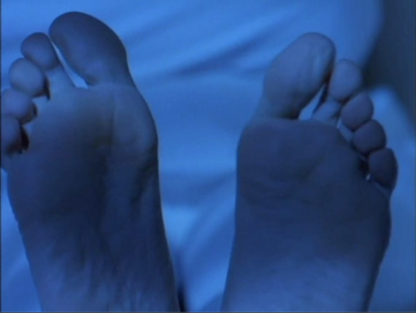 Allyce Beasleys Feet I Piedi Di Allyce Beasley Celebrities Feet 2024