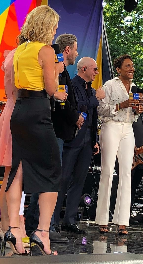 Amy Robachs Feet