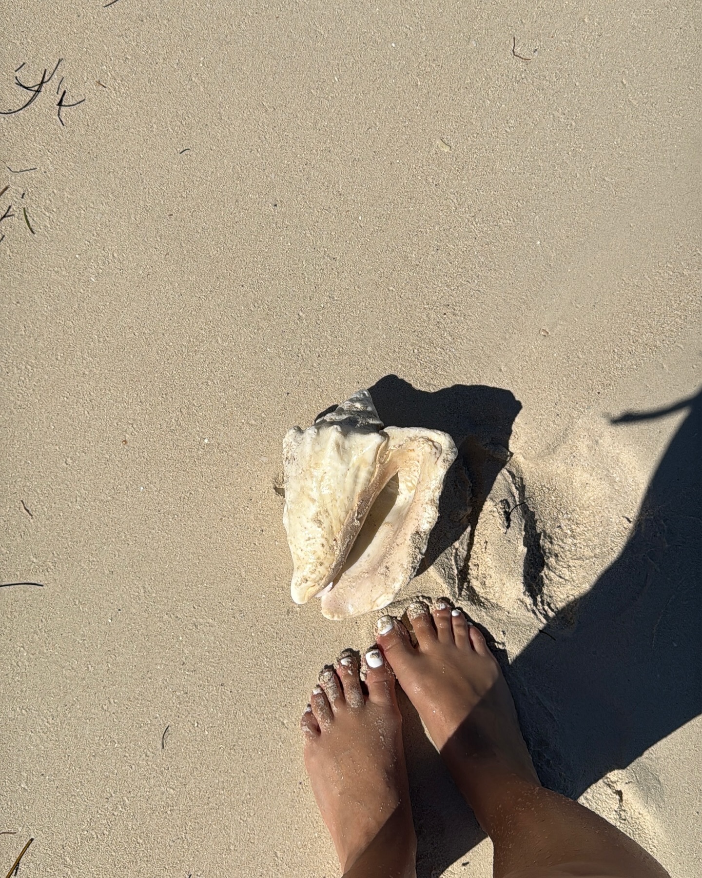 Andrea Carmona's feet