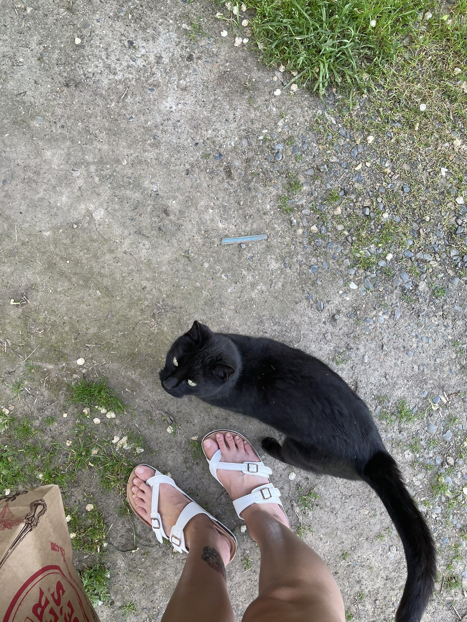 Anna Lisa Wagner's feet