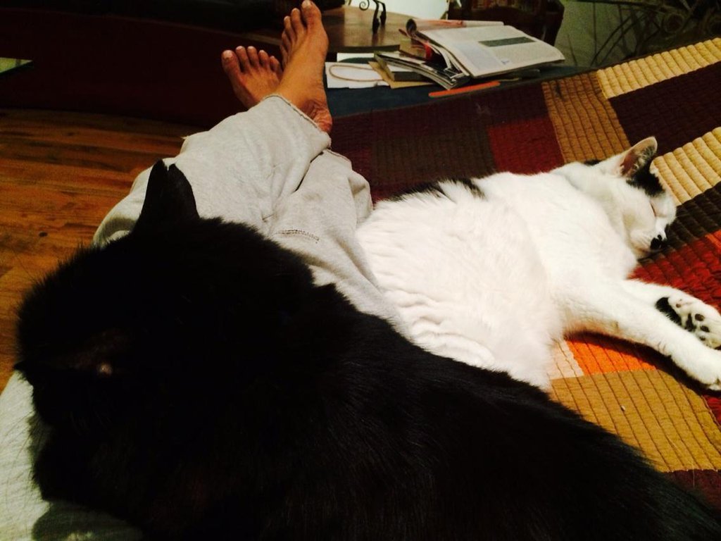 Annabel Chong's feet