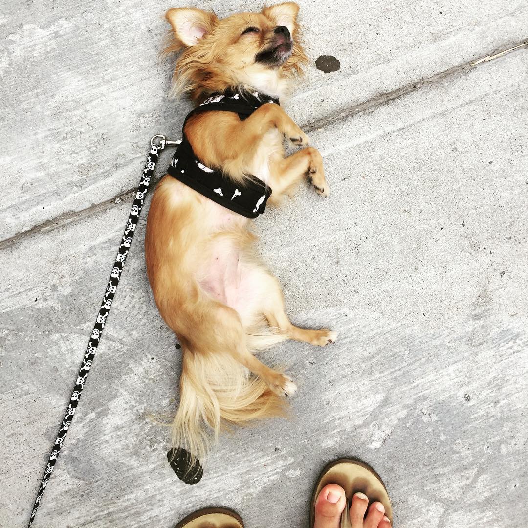Annie Chang's feet