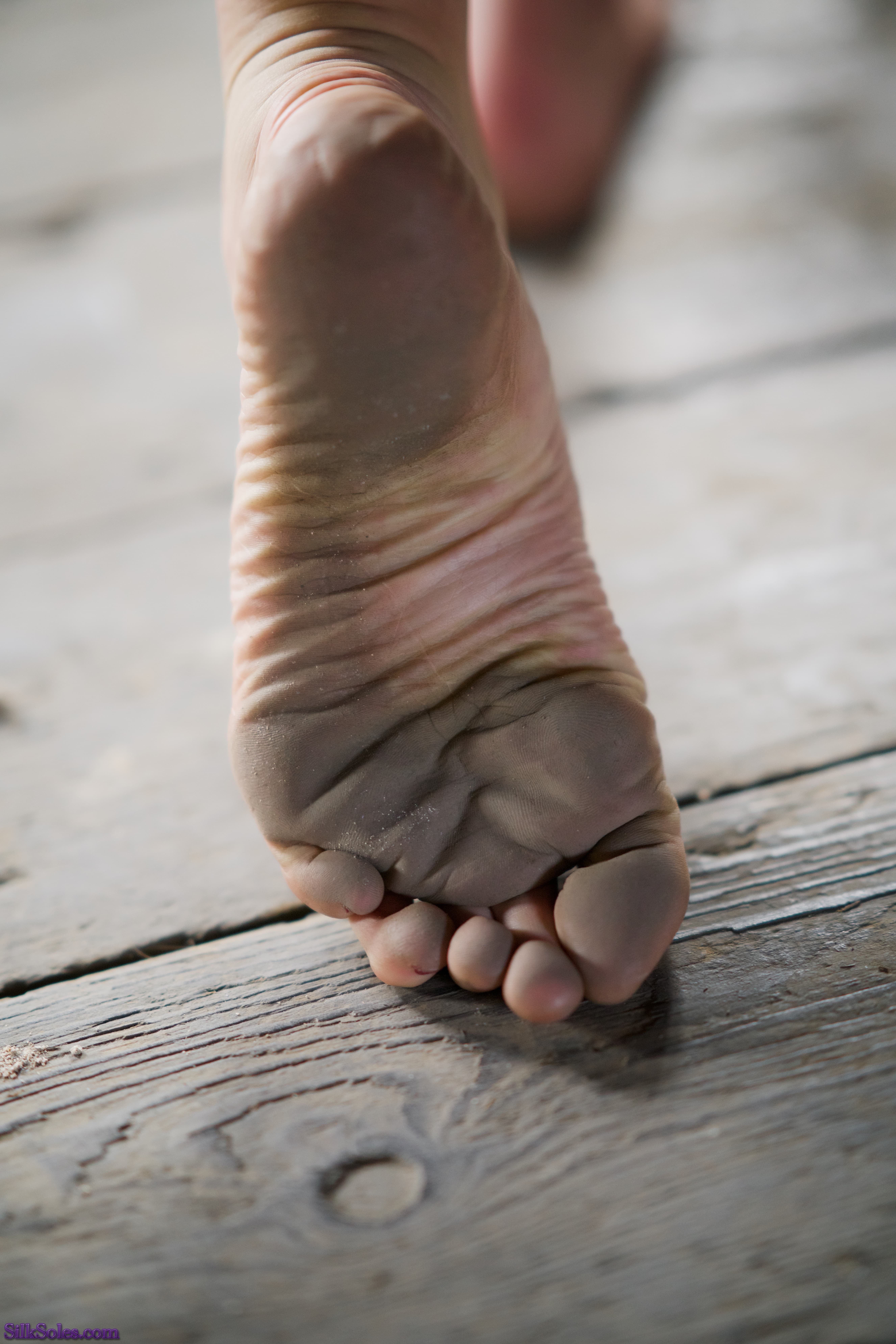 Ariel Anderssen's Feet