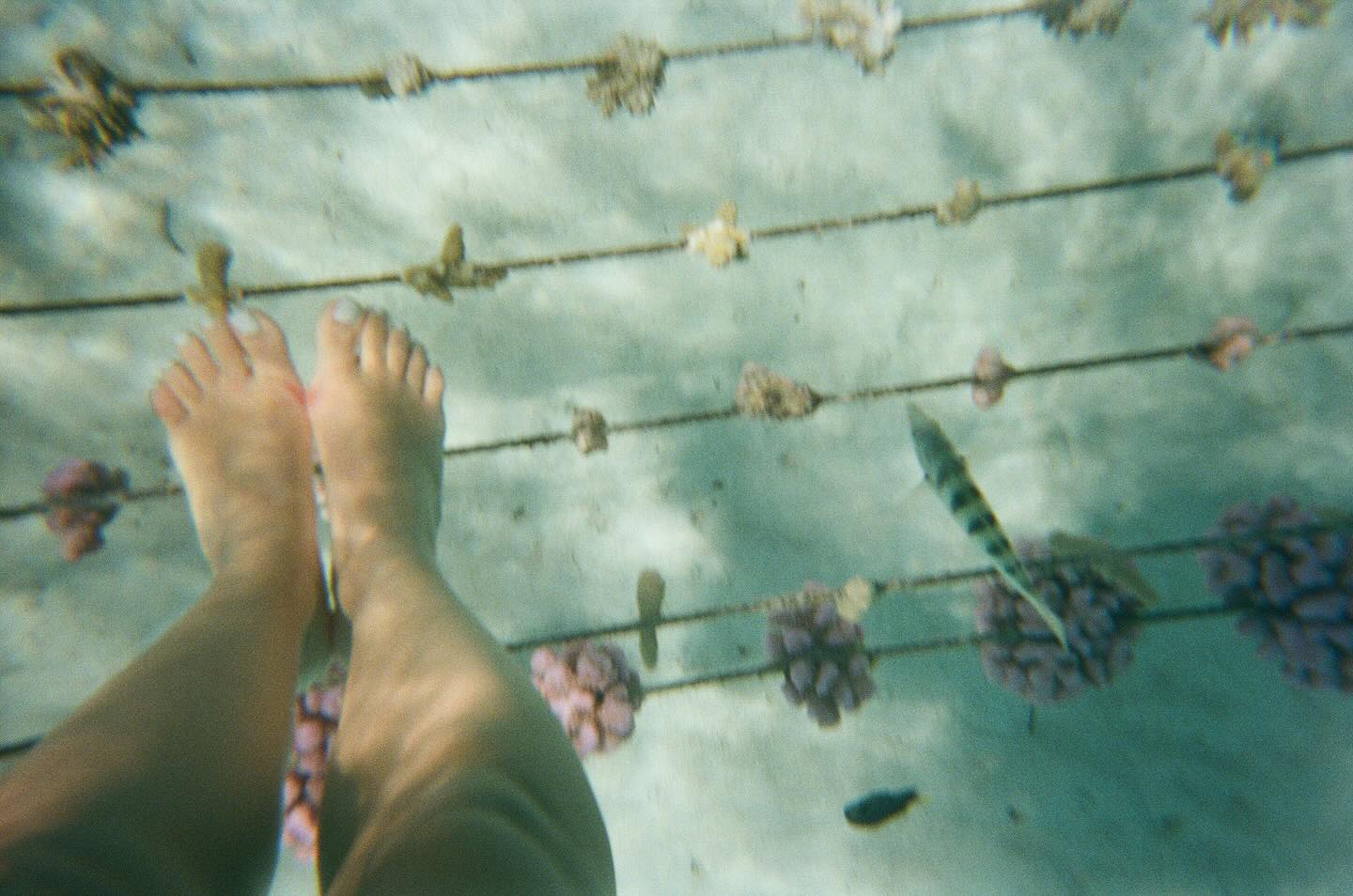 Bailey Bass's feet