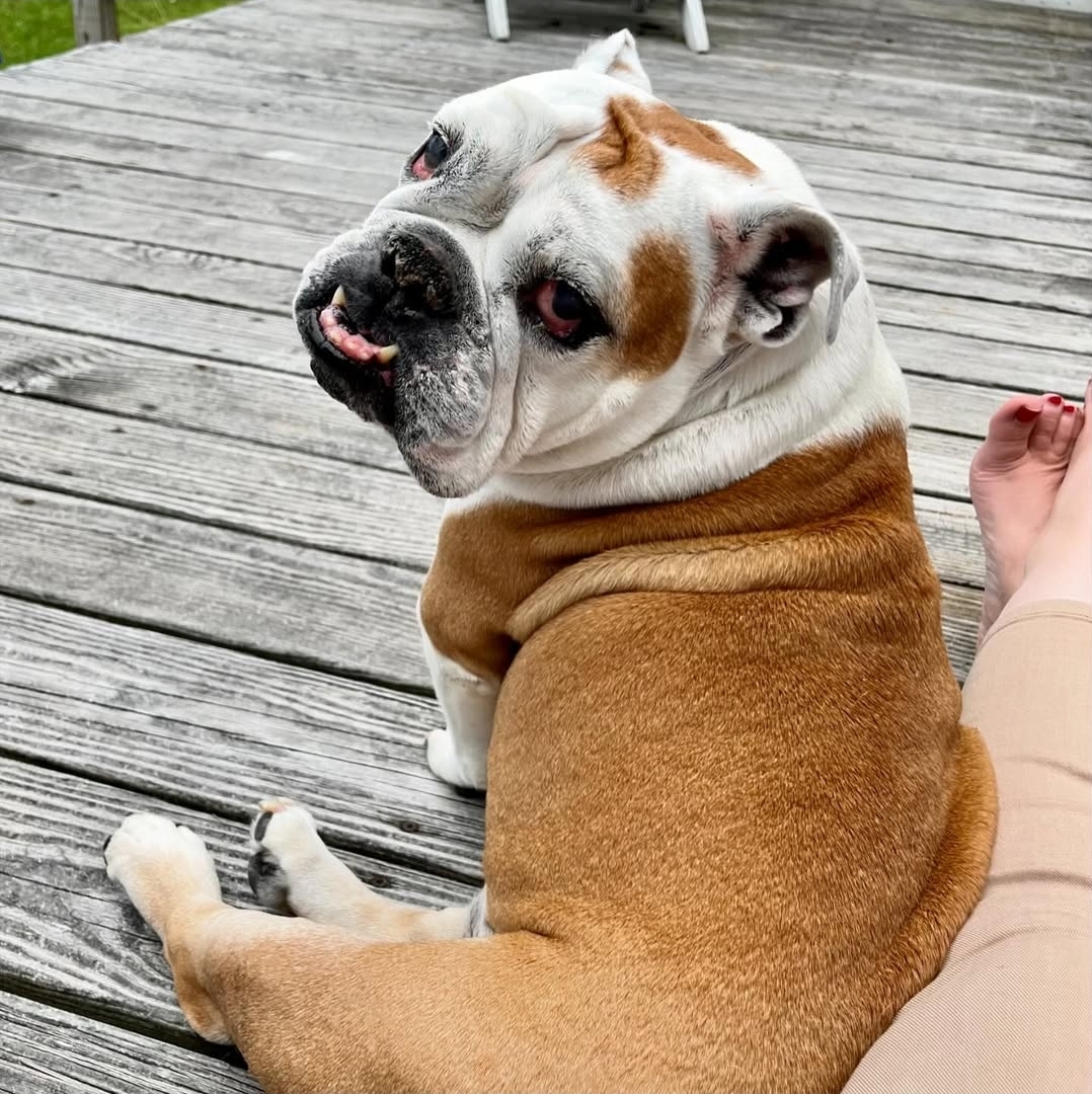 Carrie Kei Heim's feet