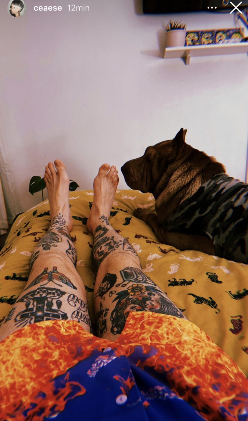 Ceaese's feet