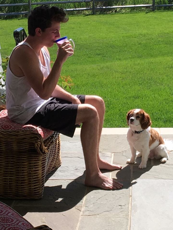 Charlie Puth | Charlie puth, Charlie, Charming charlie