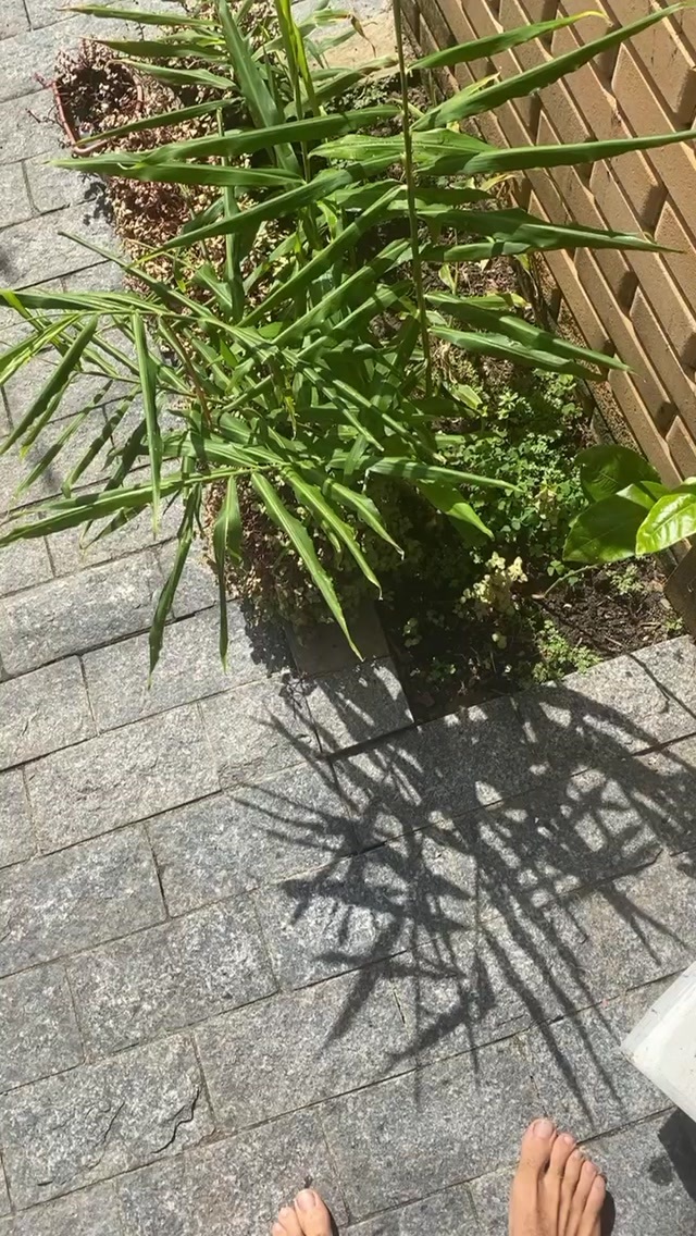 Chino Oriente's feet