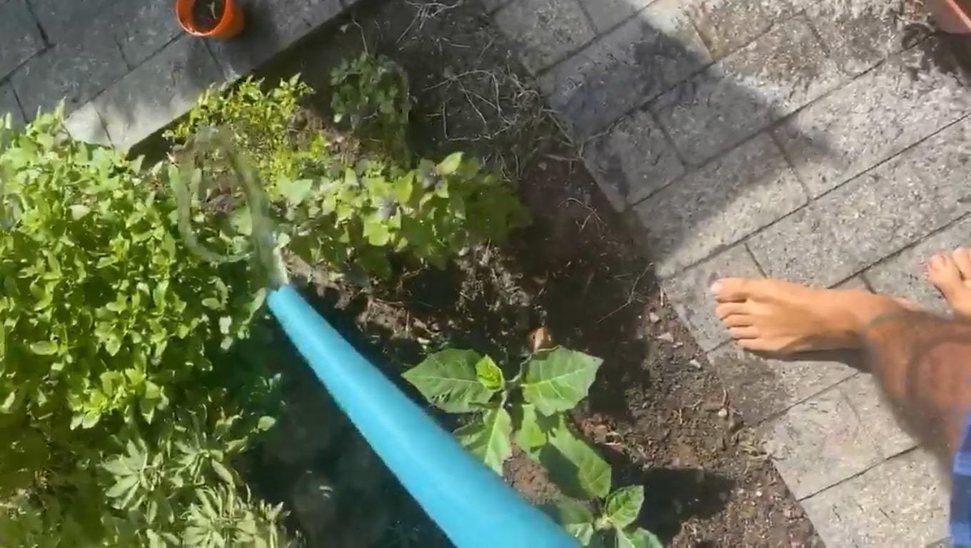 Chino Oriente's feet