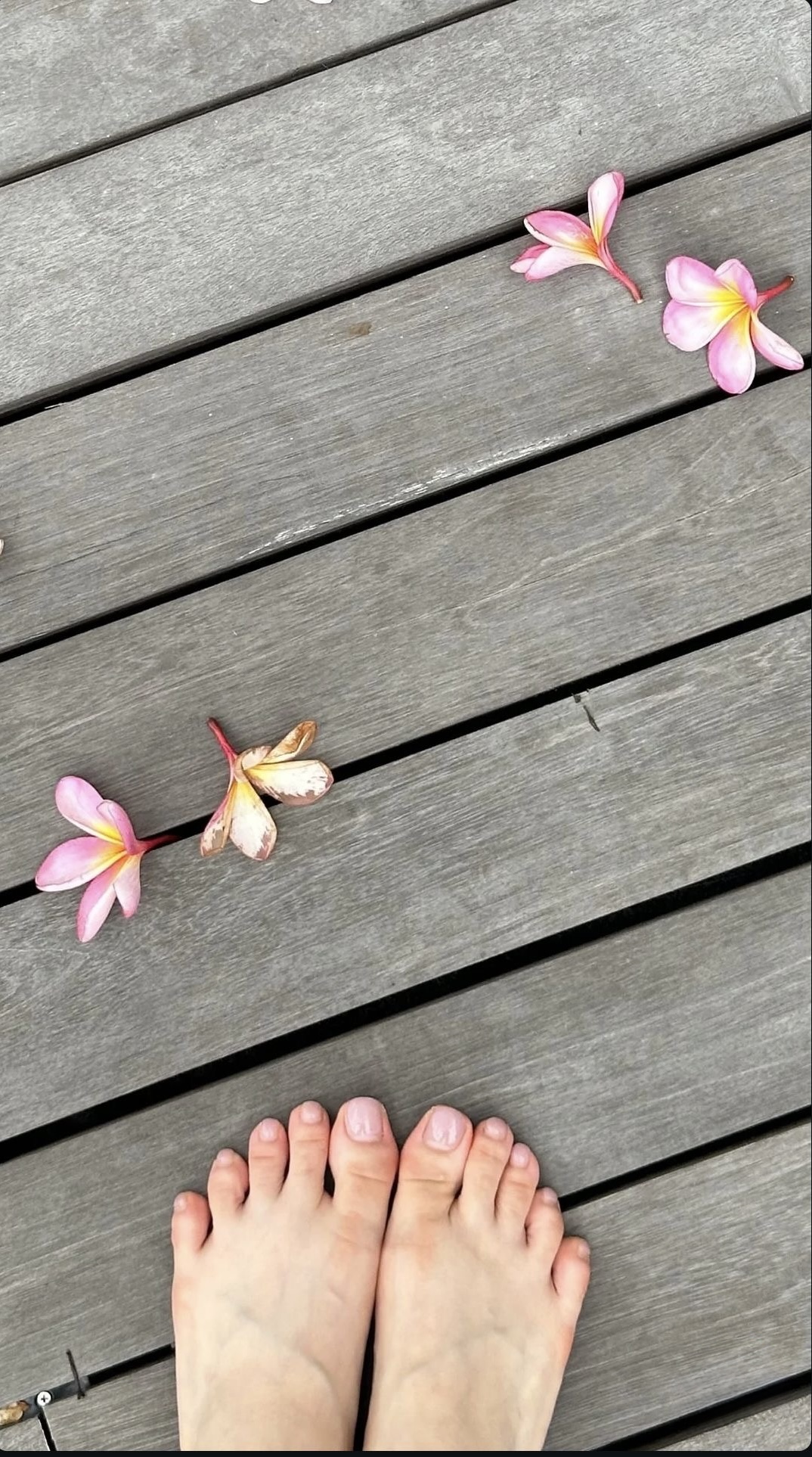 Chuu's feet