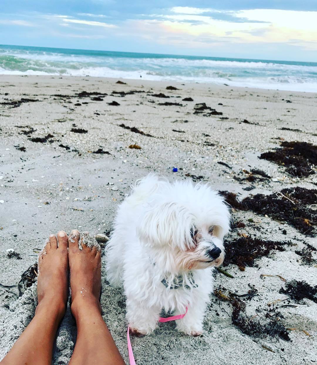 Connie Ariass Feet I Piedi Di Connie Arias Celebrities Feet 2023