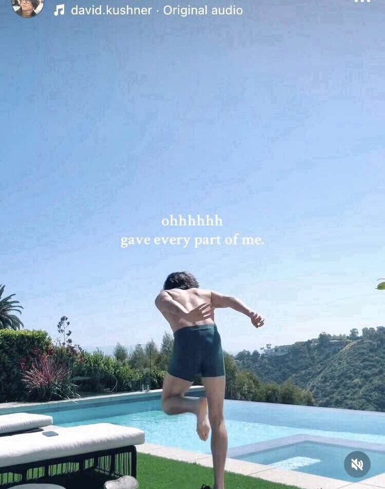 David Kushners Feet