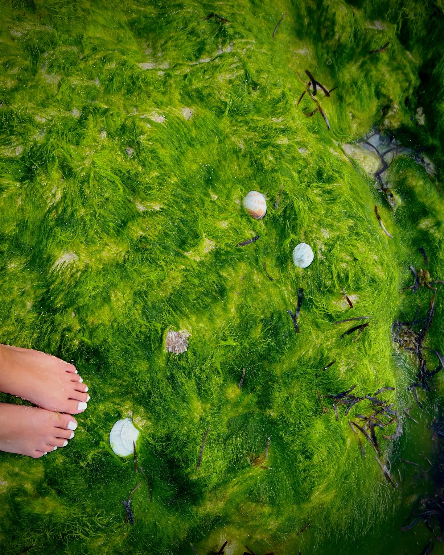 Drea Bergeron's feet