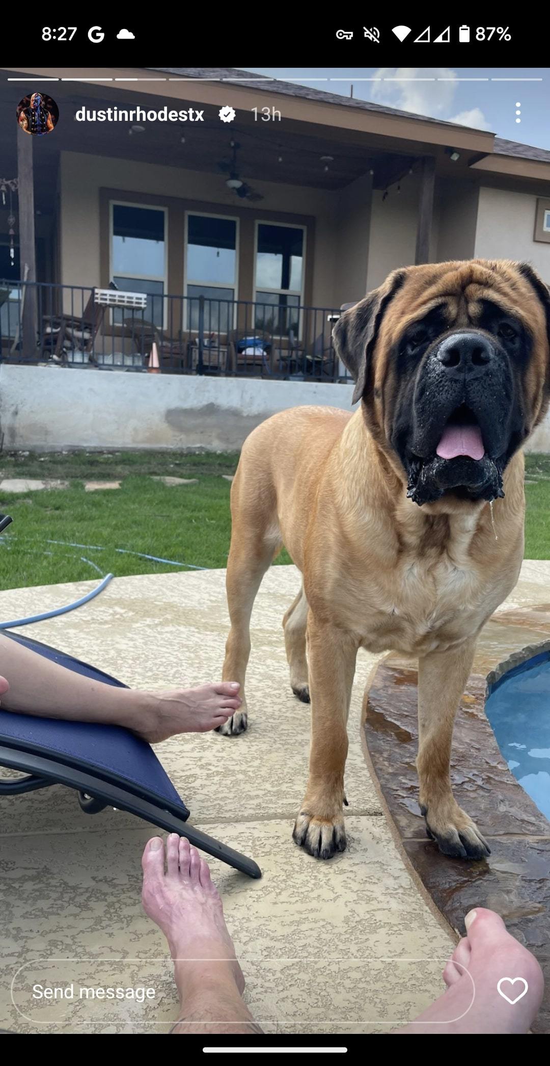 Dustin Rhodes's feet