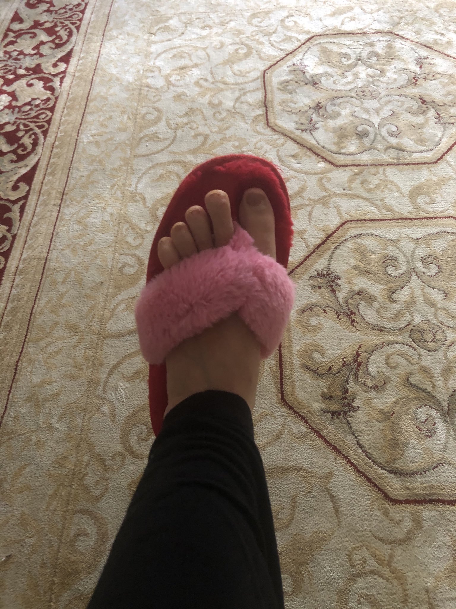 Eva Pope's feet