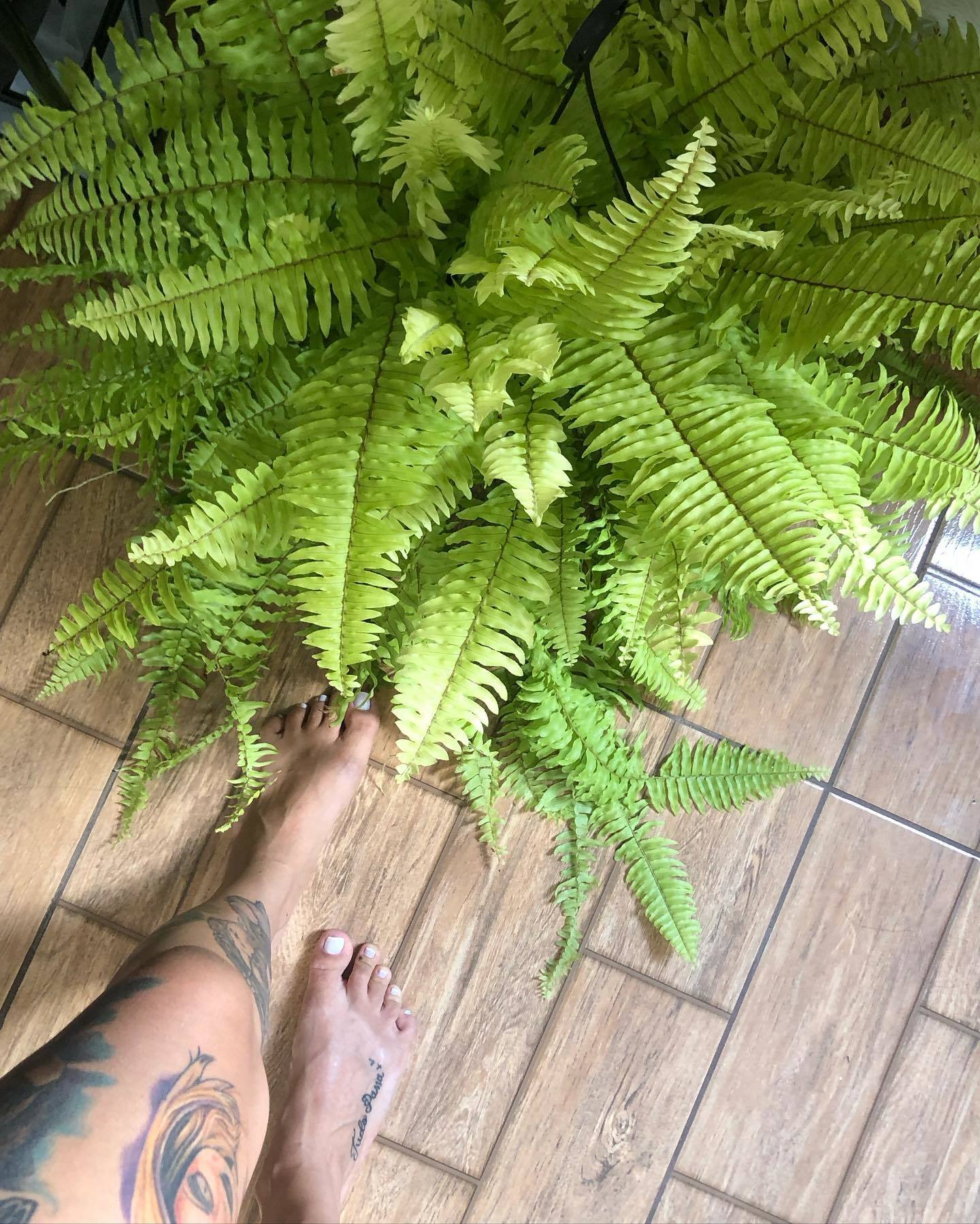 Evelyn Buarques Feet