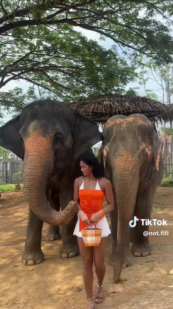 Fifi Sharma's feet