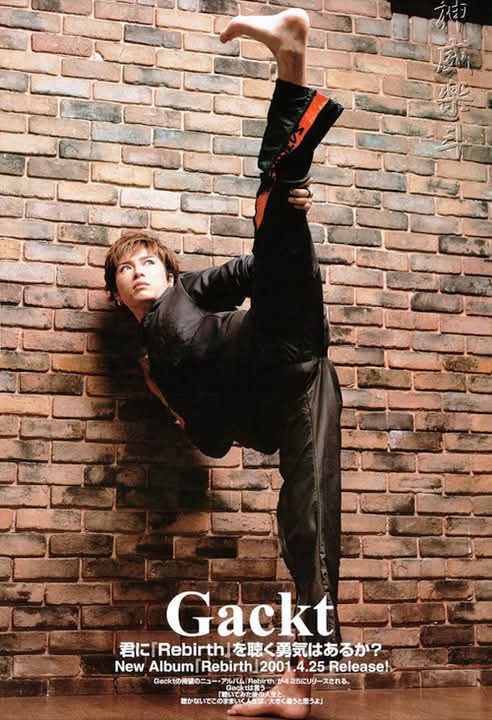 Gackt's feet