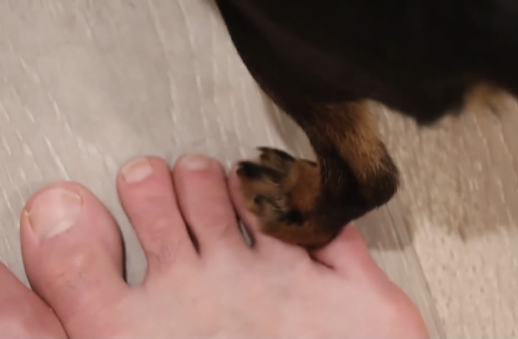 Joe Vulpis's feet
