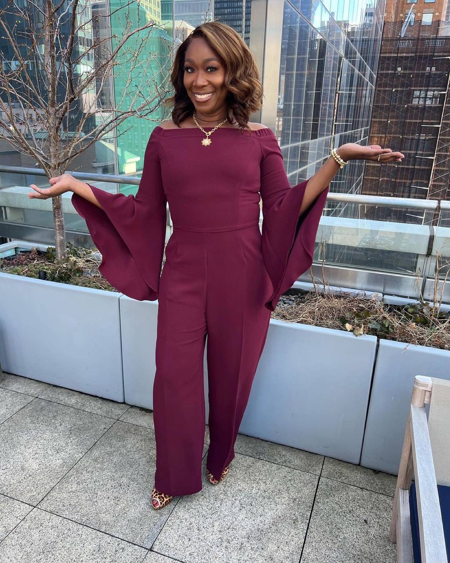 Joy Ann Reids Feet I Piedi Di Joy Ann Reid Celebrities Feet 2023
