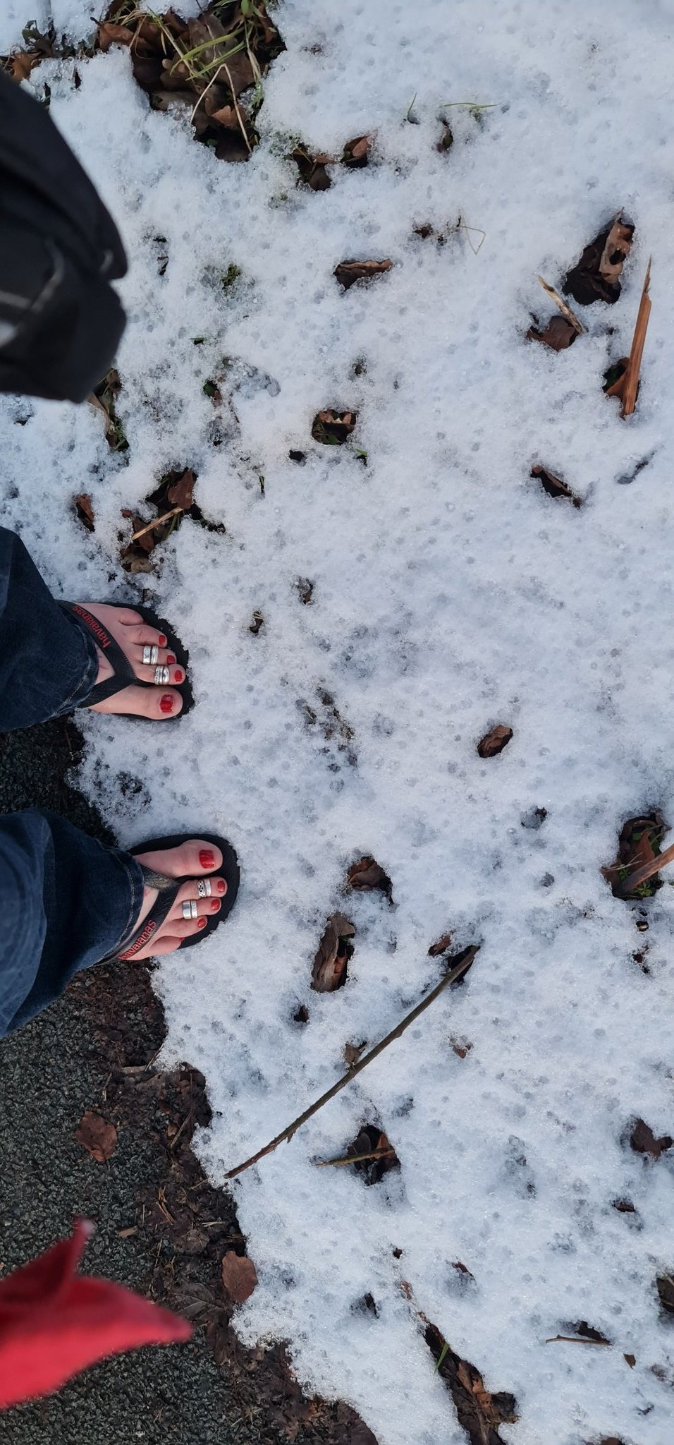 Julie Preston's feet