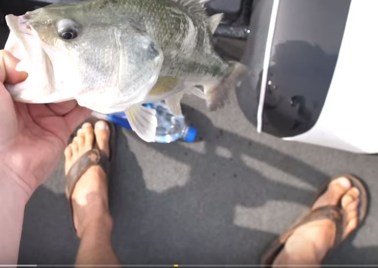 Justin Rackley's feet