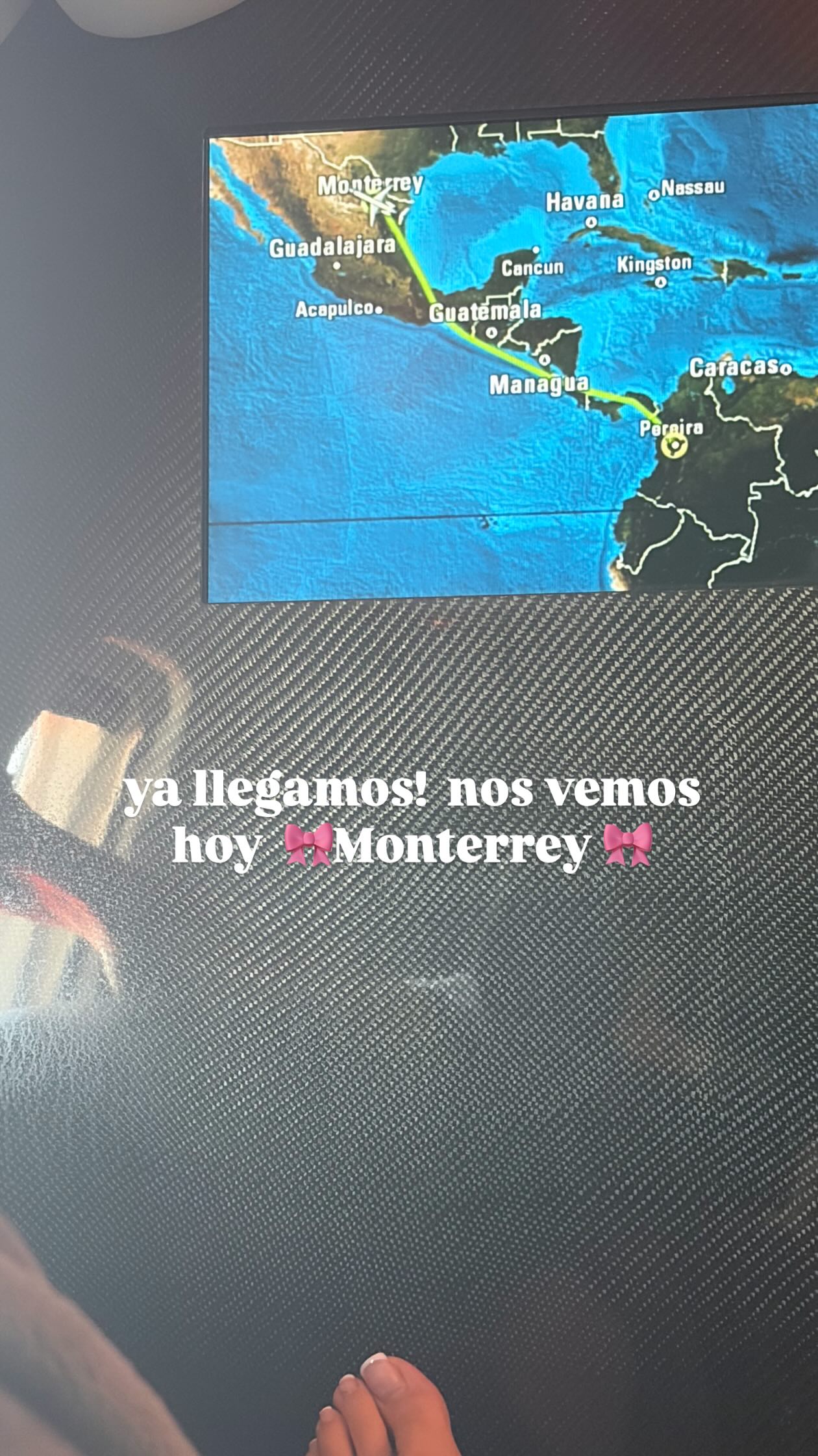 Kali Uchis's feet