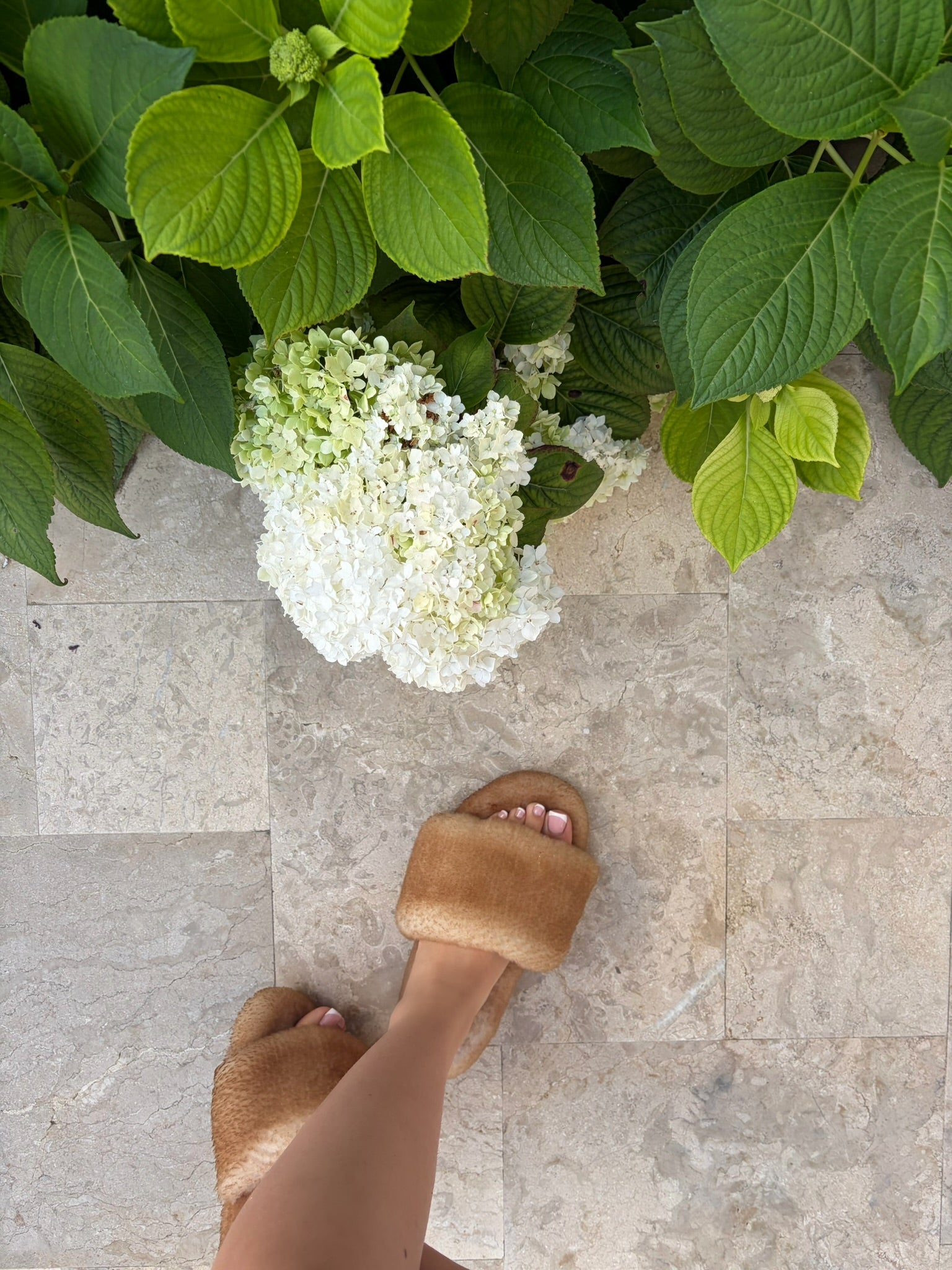 Kali Uchis's feet