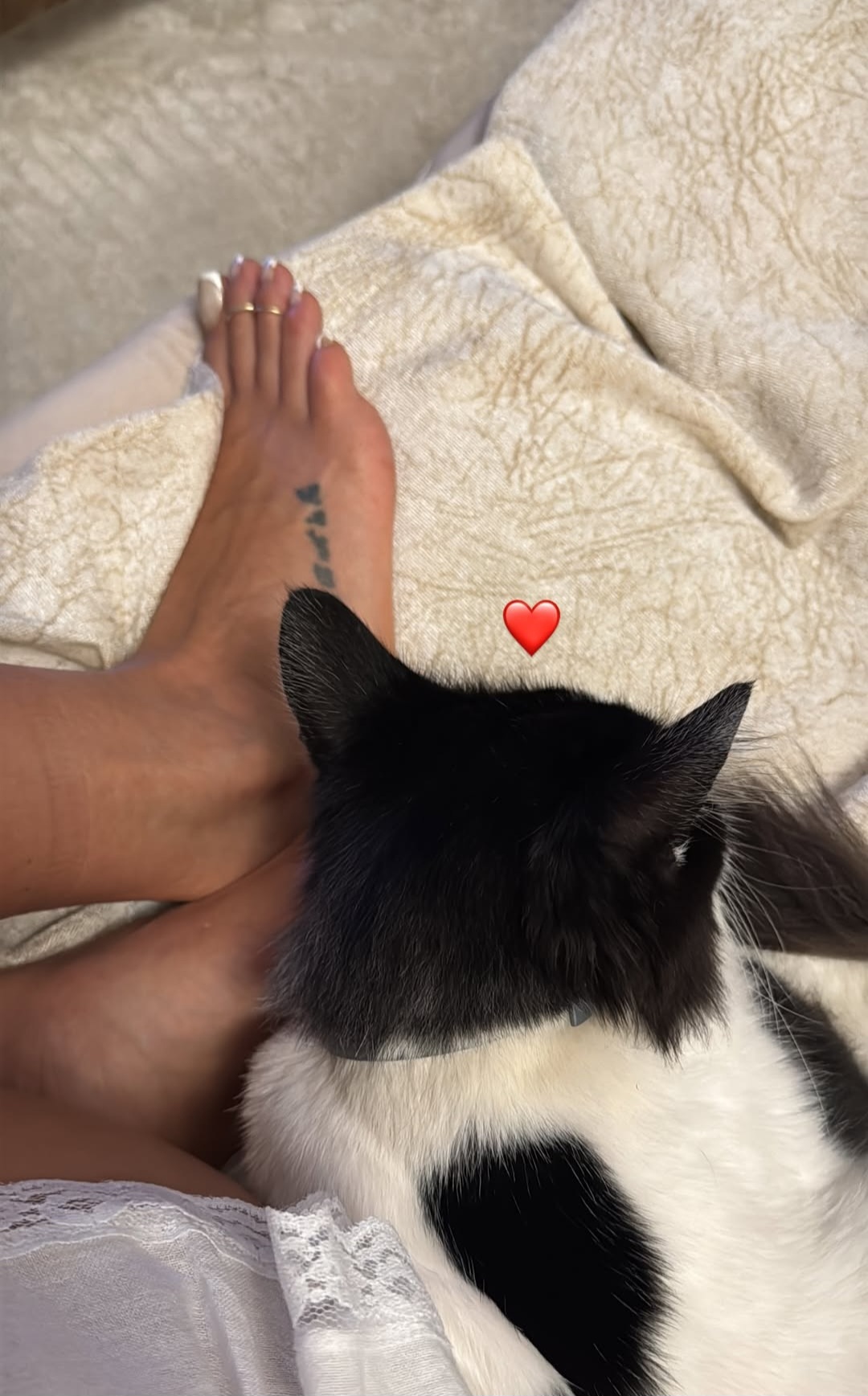 Kaptanoglu Nurcin's feet