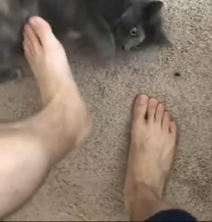 Kwite's feet