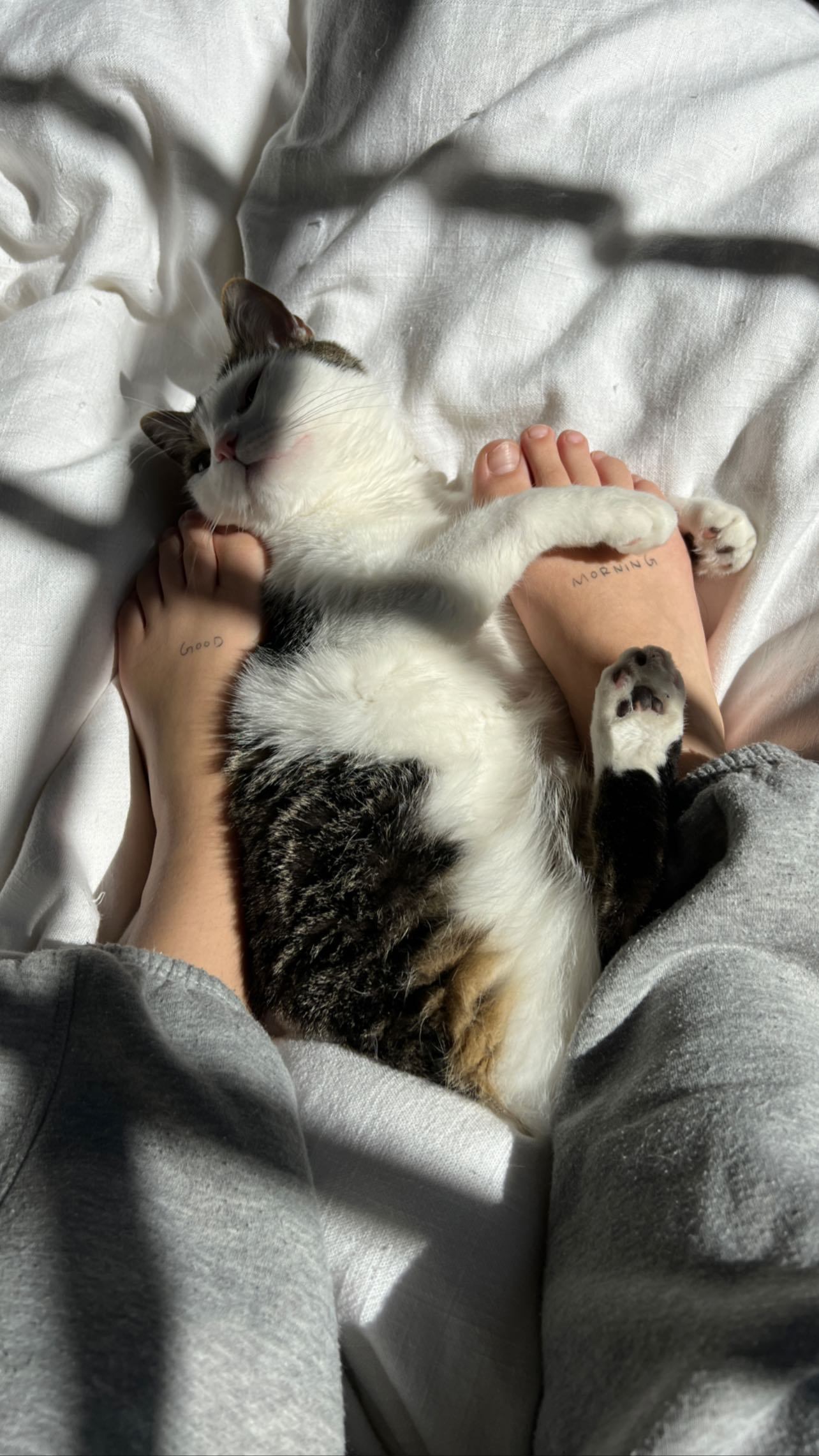 Maisy Stellas Feet I Piedi Di Maisy Stella Celebrities Feet 2025