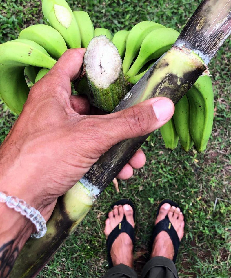 Manny Santiago's feet