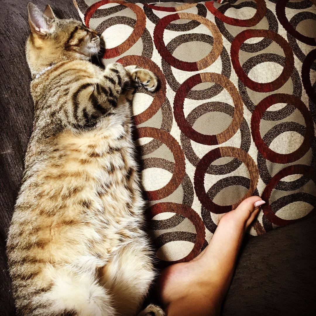 Marissa Lenti's feet