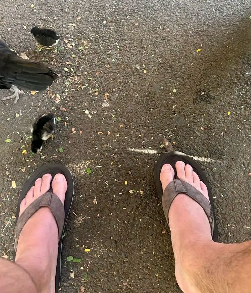 Matt Schultz's feet