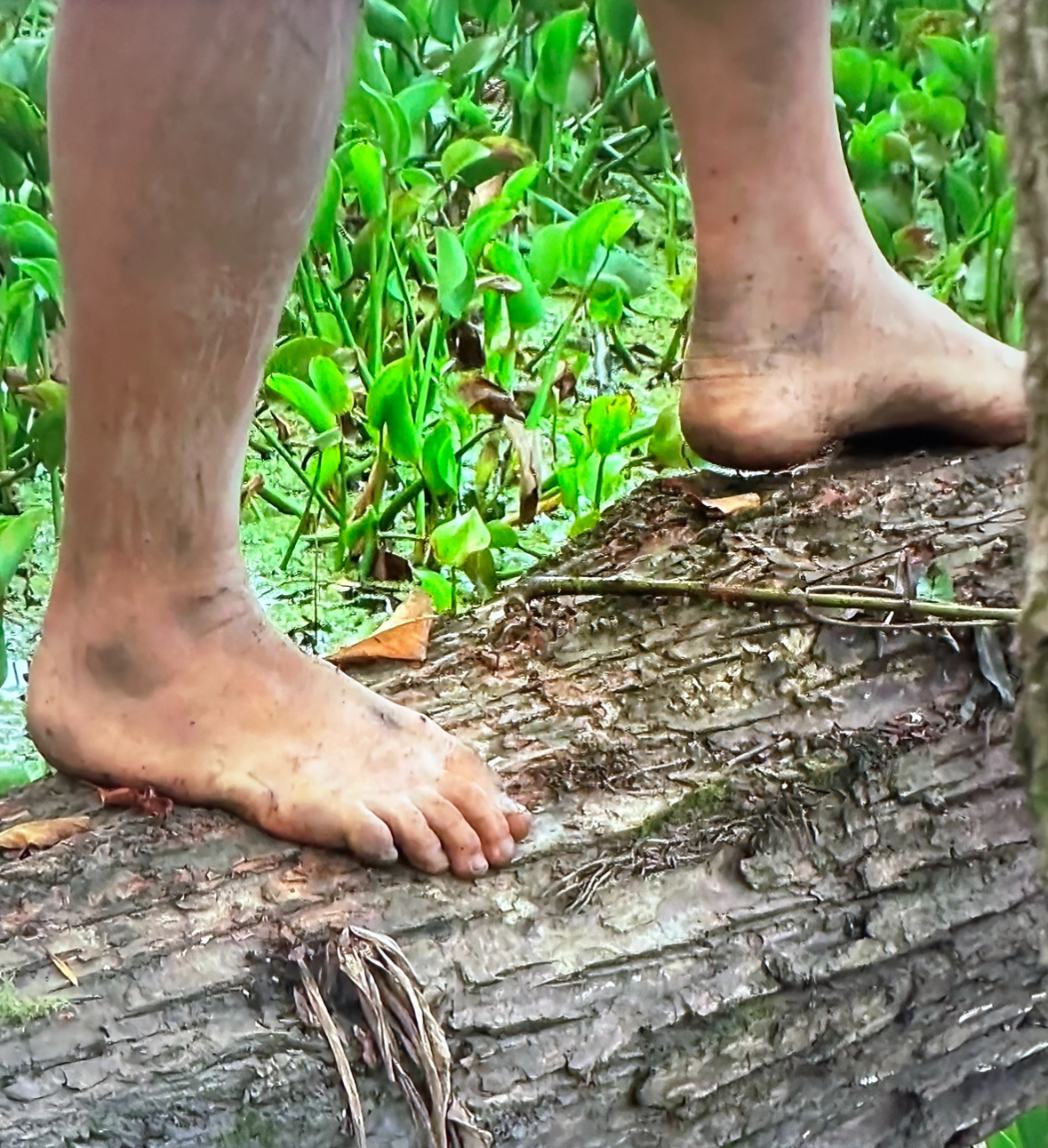 Matt Wright's feet