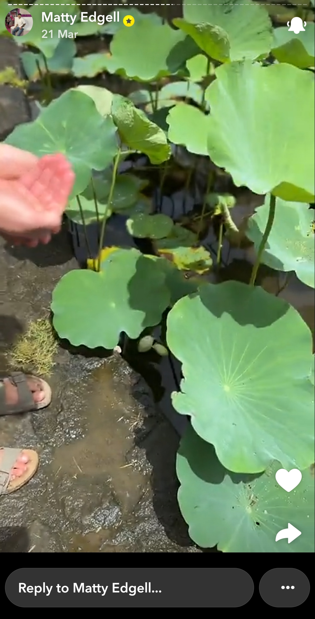 Matty Edgell's feet