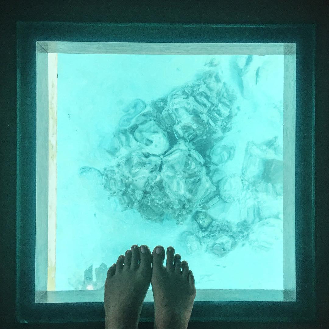 Meredith Noel Collier's feet