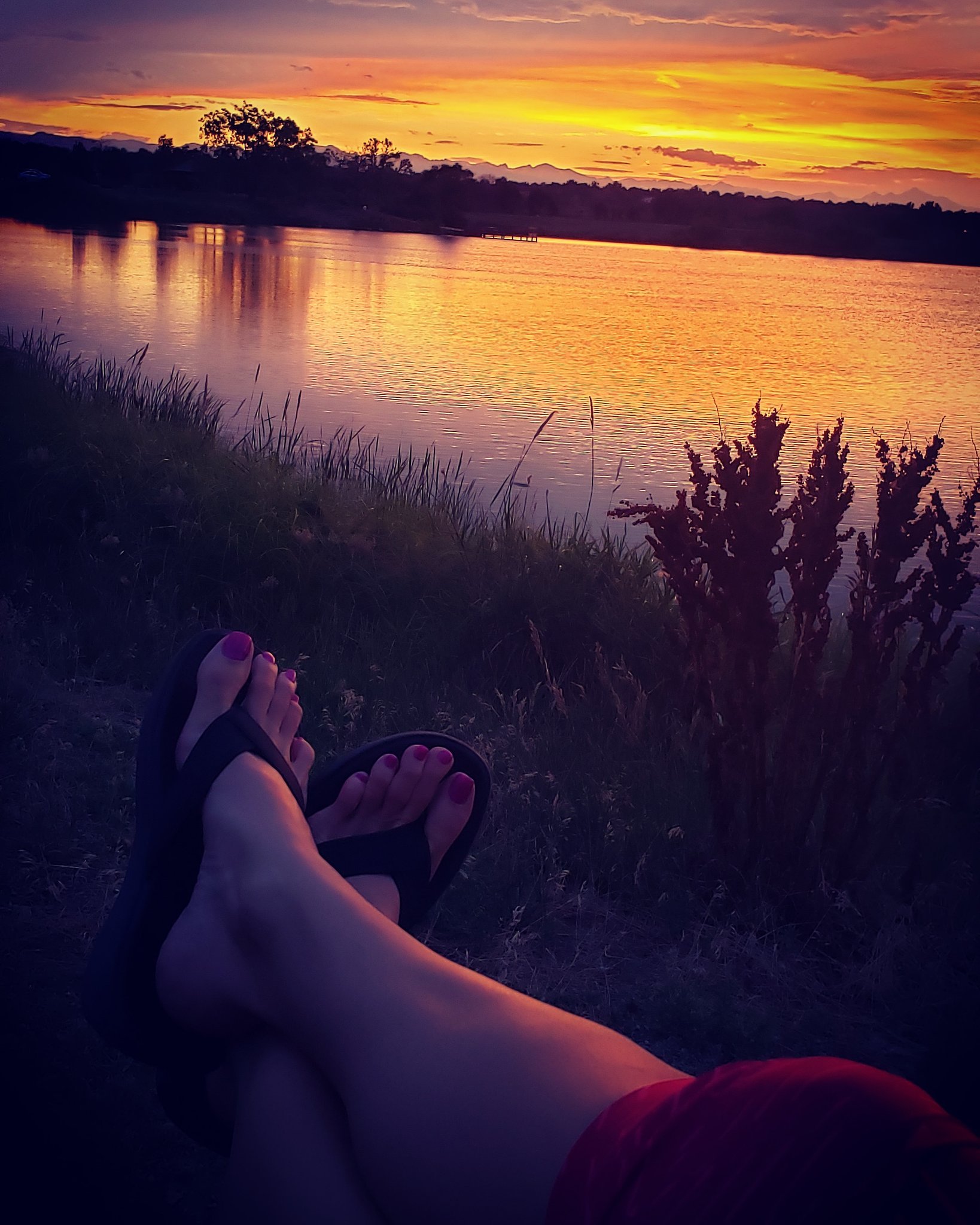 Mikayla Miless Feet I Piedi Di Mikayla Miles Page 6 Celebrities Feet Hot 2024