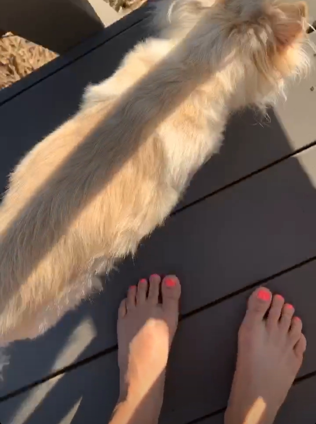 Paige VanZant's Feet Paige VanZant's Feet