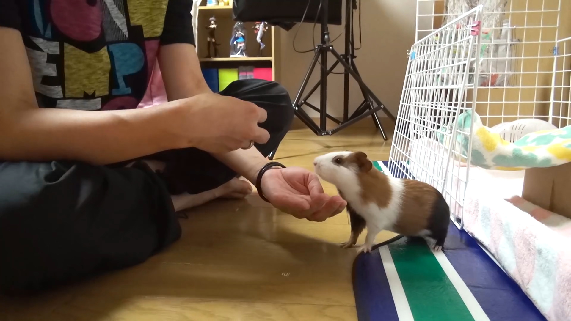 Priscila Kuriyama's feet