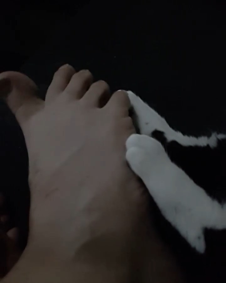 Rob Jabbaz's feet